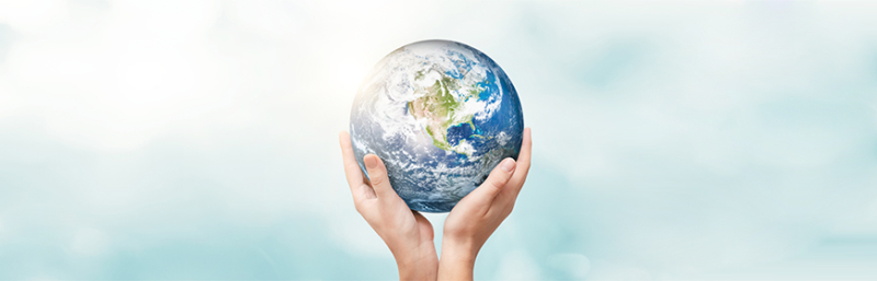 Che cos'è l'approccio One Health? [Video]