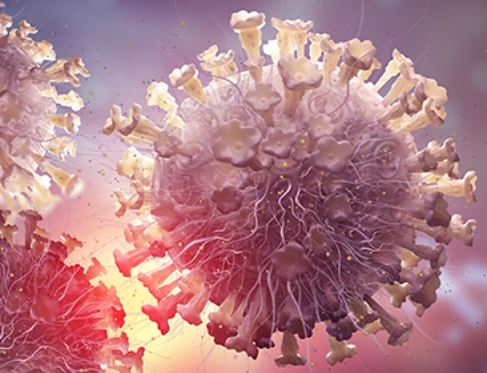 Influenza aviaria, cosa sapere (FAQ)